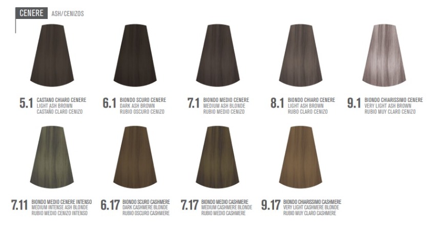 TINTE COLOR BLOOM (CENIZOS) - Kisha Beauty Supply México